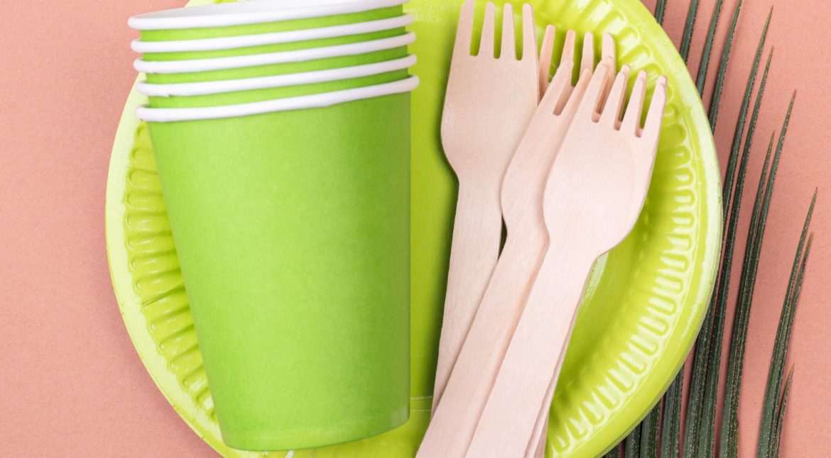 Everyday Disposable Picks: Practical Eco-Friendly Complete Guide